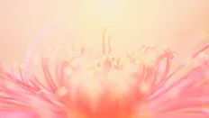 Gallery profile | Padlet