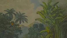 Fredy Oscar A C (fredyoscarac) profile | Padlet